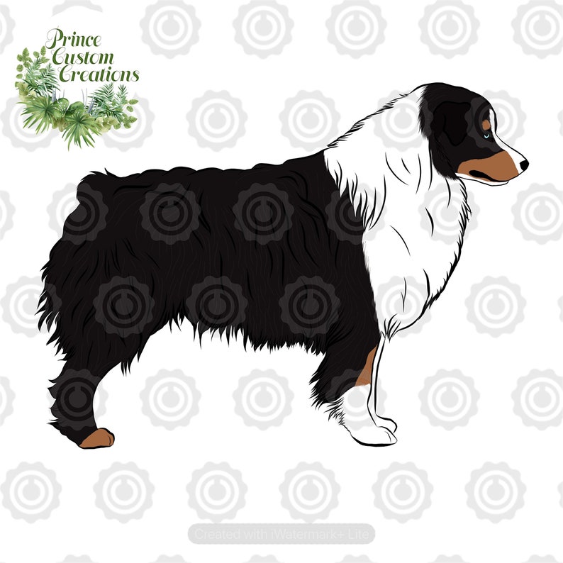 Australian Shepherd Stack Png for Printing Png for Australian Shepherd ...