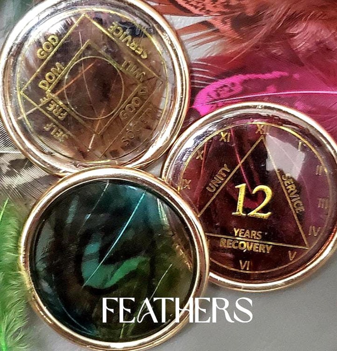 Feather AA Chip, NA Coin, Recovery Chips, Sober Gifts, 12 Step Gifts ...