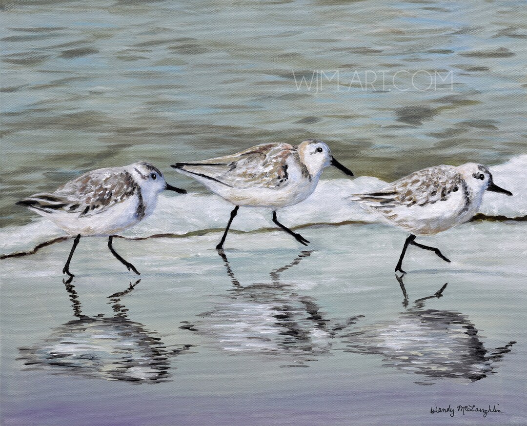 Sand Pipers on the Beach (canvas Print of Original Acrylic Painting) - Etsy