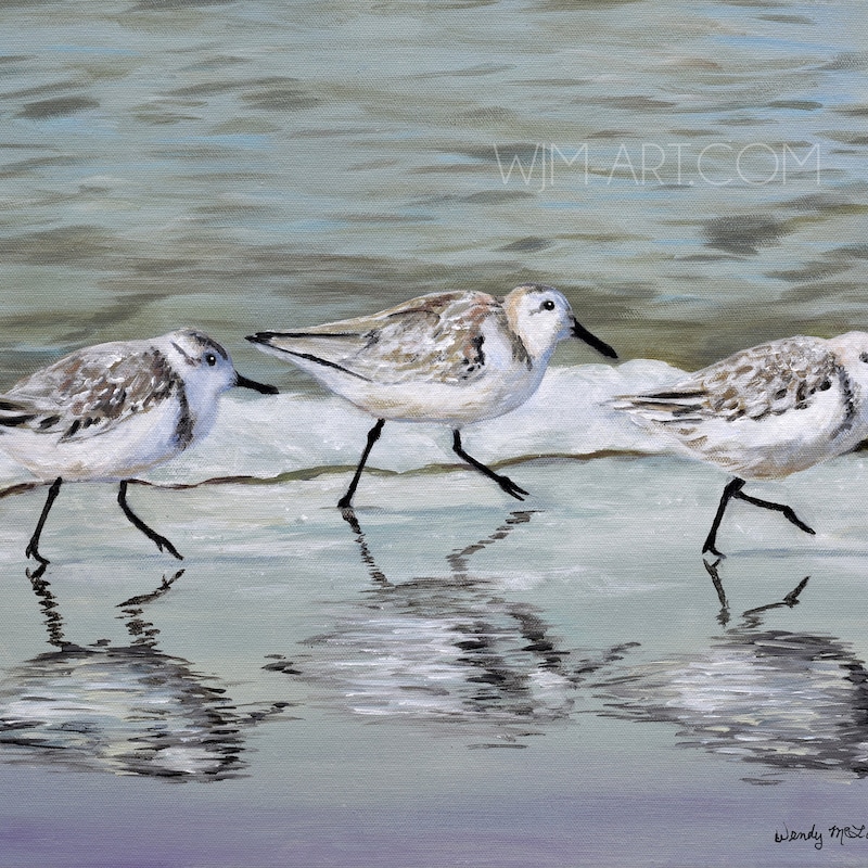 Sand Piper Art - Etsy