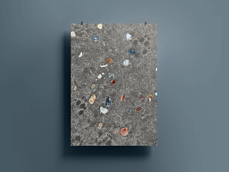 Seashell Wall Art Beach House Coastal Shells Print Dog Paw - Etsy