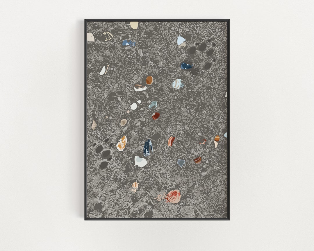 Seashell Wall Art Beach House Coastal Shells Print Dog Paw Prints in ...
