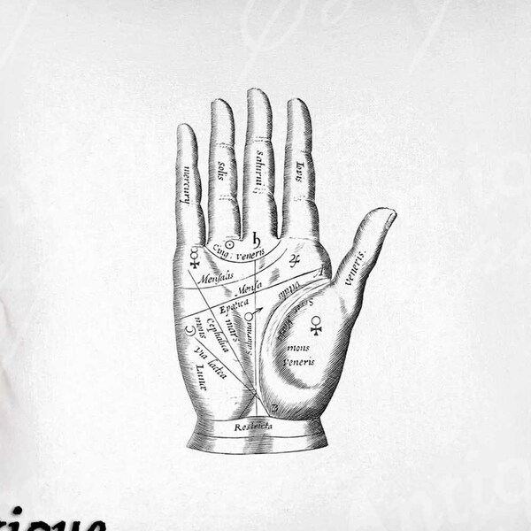 Palmistry Reading Chart - Etsy