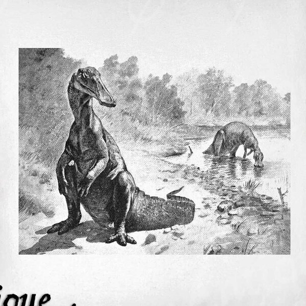 Duck Billed Dinosaur - Etsy