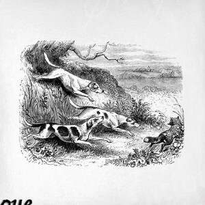Fox Hunt Clip Art - Vintage Dogs Printable - Fox and Hounds Sublimation ...