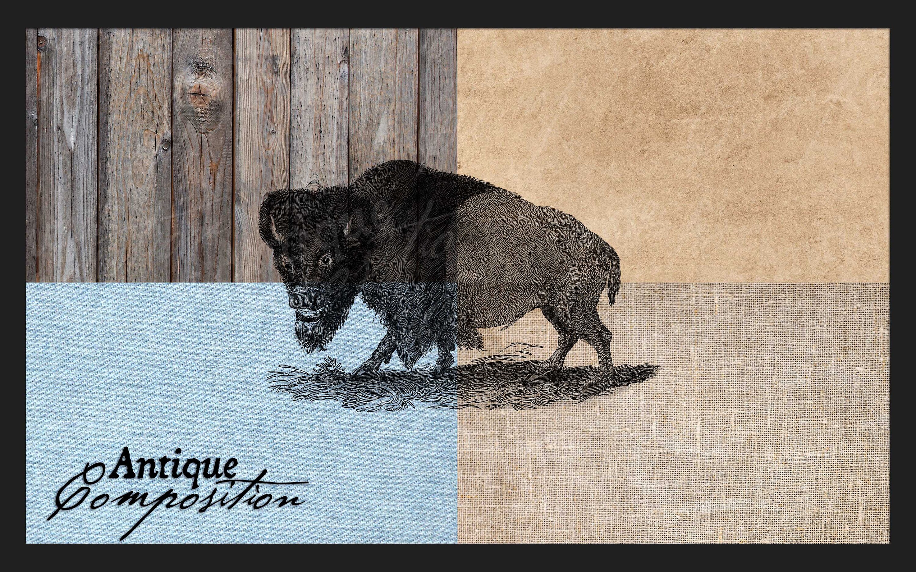 Bison Clip Art Vintage Bison Printable Smiling Bison - Etsy