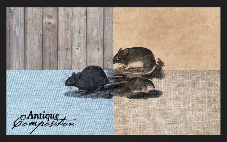 Mouse Clip Art Vintage Mice Printable Rodent Sublimation Antique Mouse ...