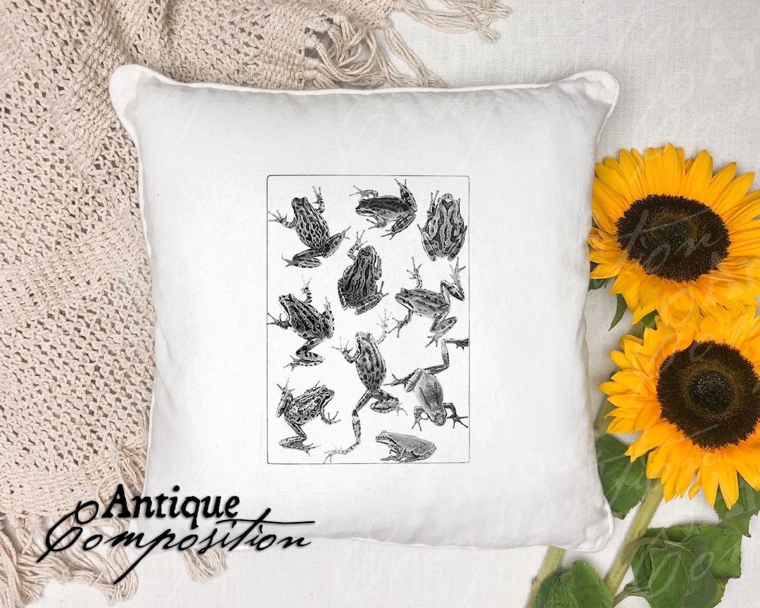 Frog Clip Art - Vintage Frogs Printable - Frog Species Sublimation ...