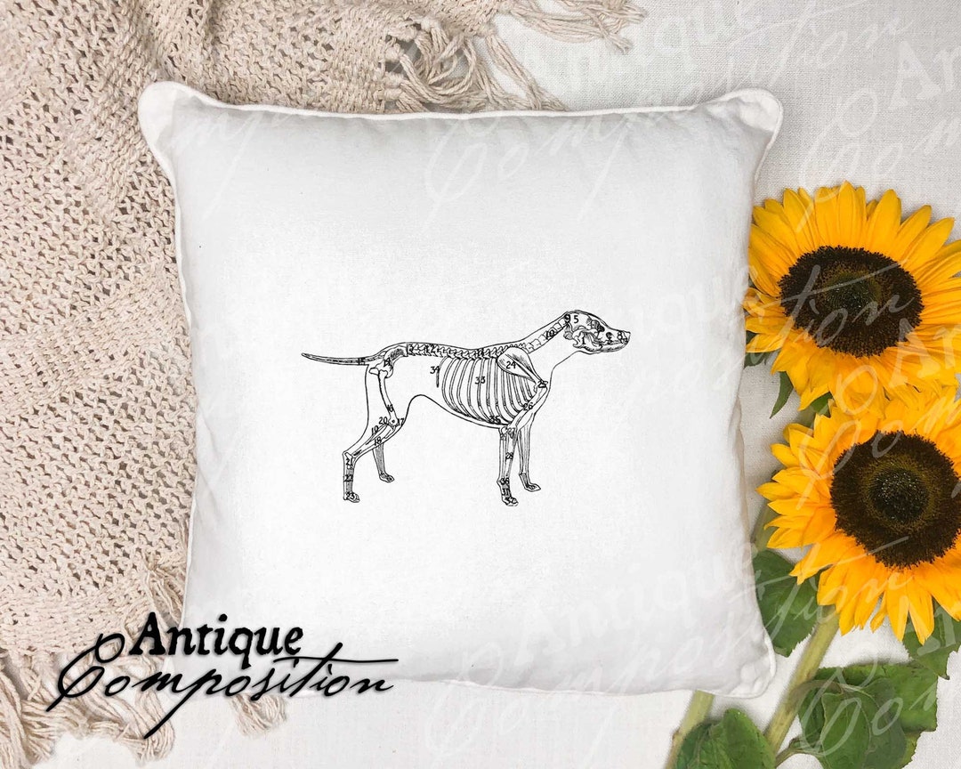 Dog Clip Art Vintage Dog Printable Dog Skeleton Sublimation Antique ...