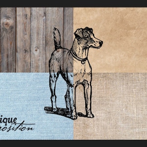 Rat Terrier Clip Art Vintage Dog Printable Rat Terrier Sublimation ...