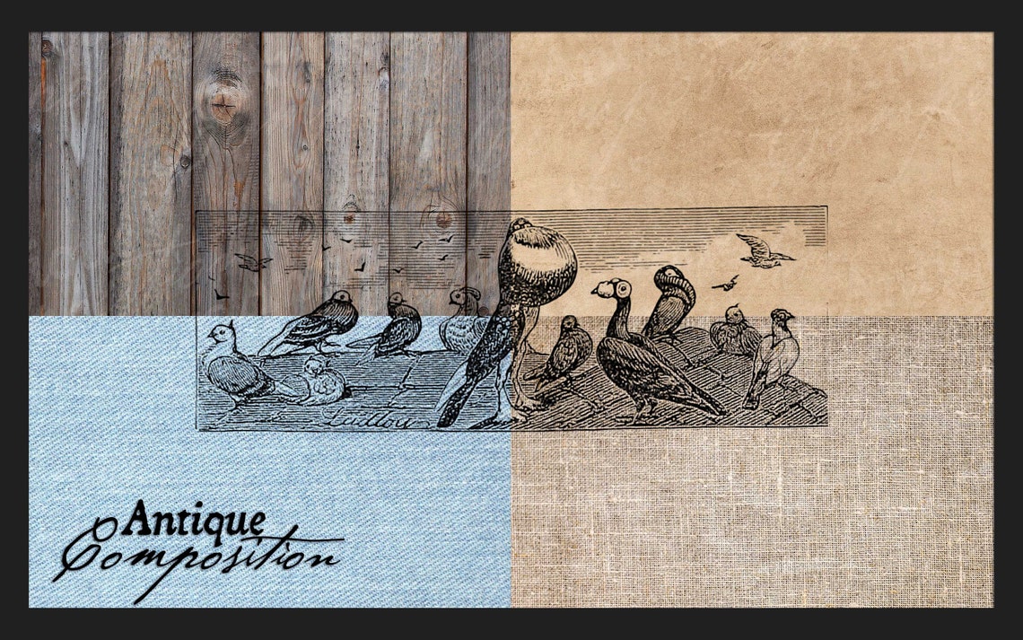 Bird Clip Art Vintage Pigeons Printable Pigeon Breeds - Etsy