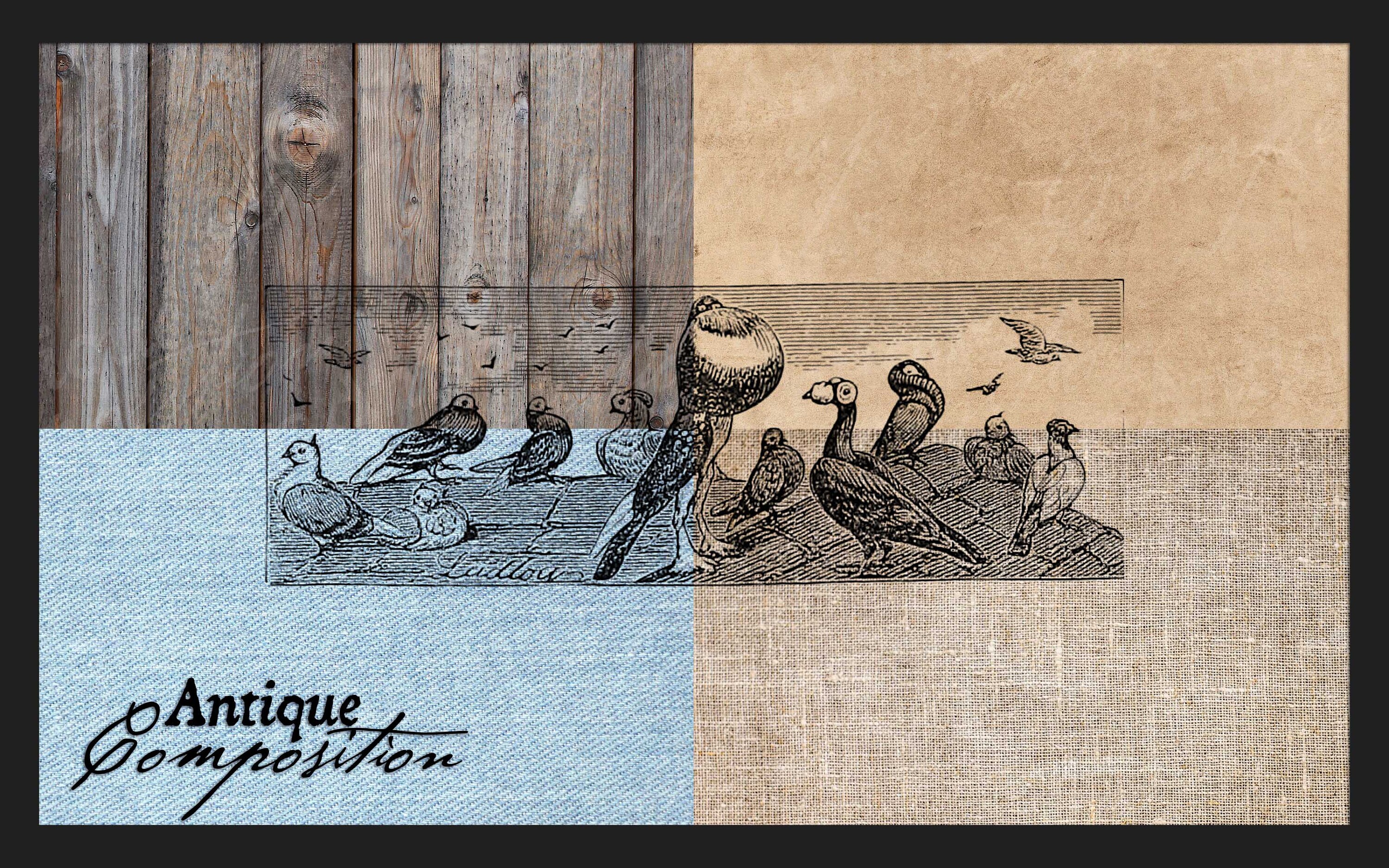 Bird Clip Art Vintage Pigeons Printable Pigeon Breeds - Etsy