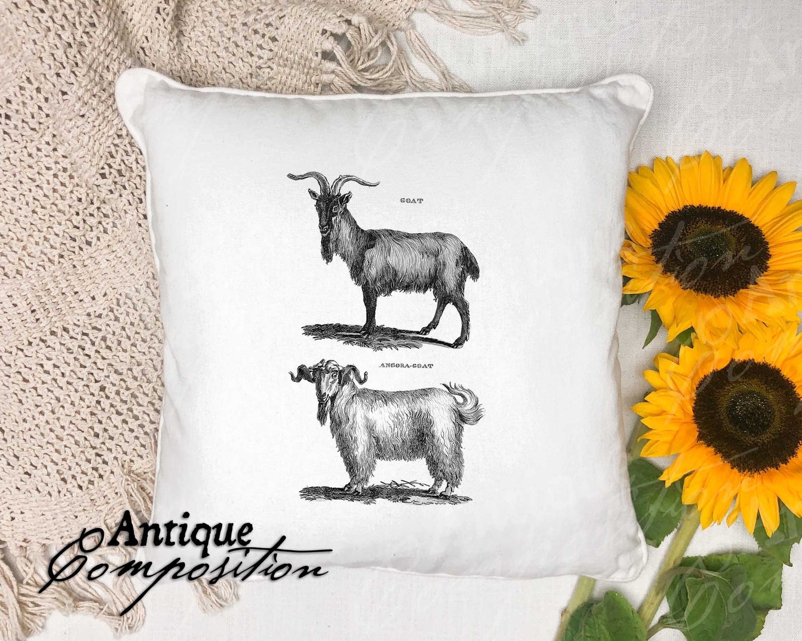 Goat Clip Art Vintage Goats Printable Angora Goat Sublimation Antique ...