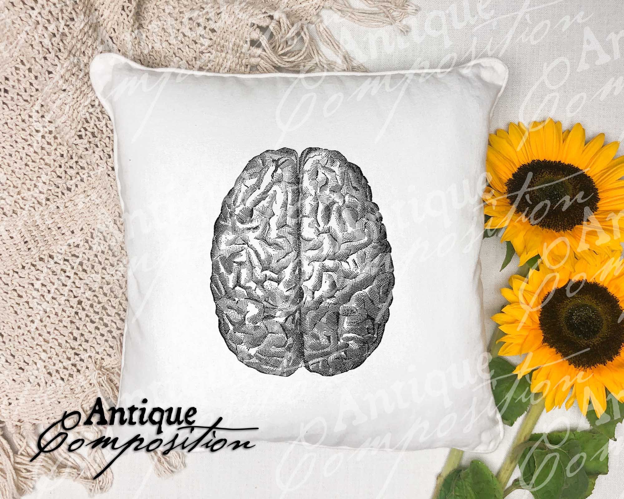 Brain Clip Art Vintage Human Brain Printable Brain Sublimation Antique ...