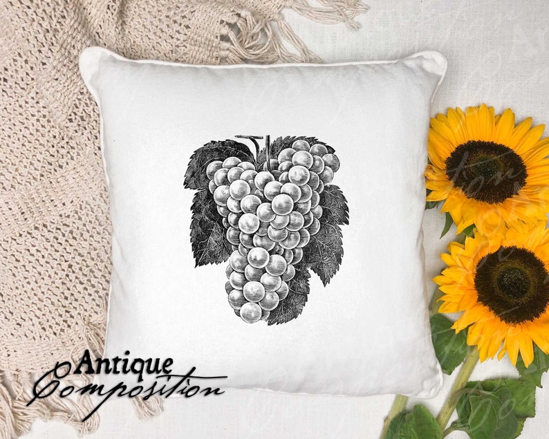 Grapes Clip Art Vintage Grape Printable Grape Bunch - Etsy