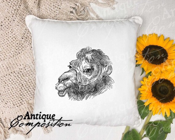 Camel Clip Art Vintage Camel Printable Camel Head - Etsy