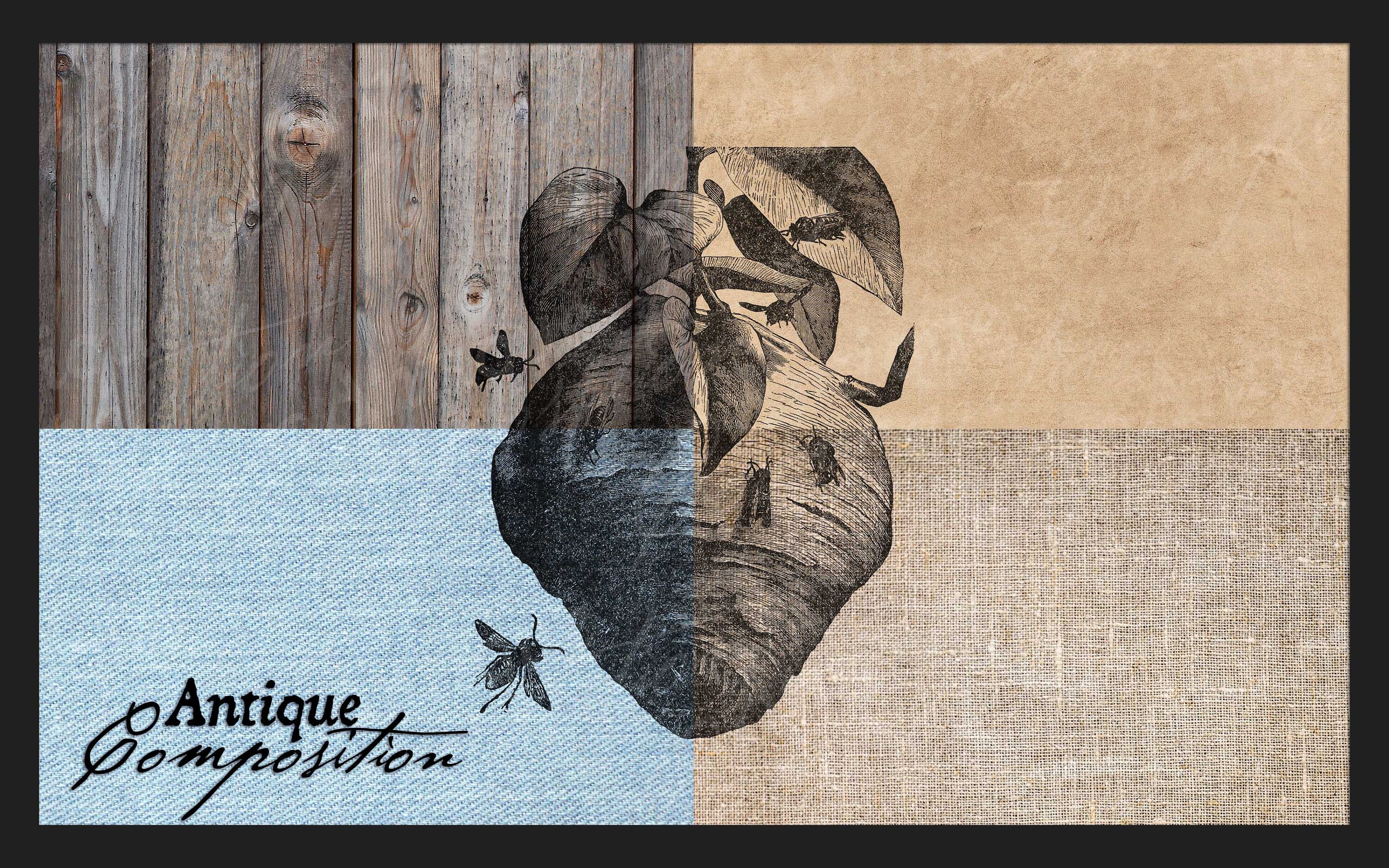 Wasp Clip Art Vintage Wasp Printable Wasp Nest Sublimation Antique ...