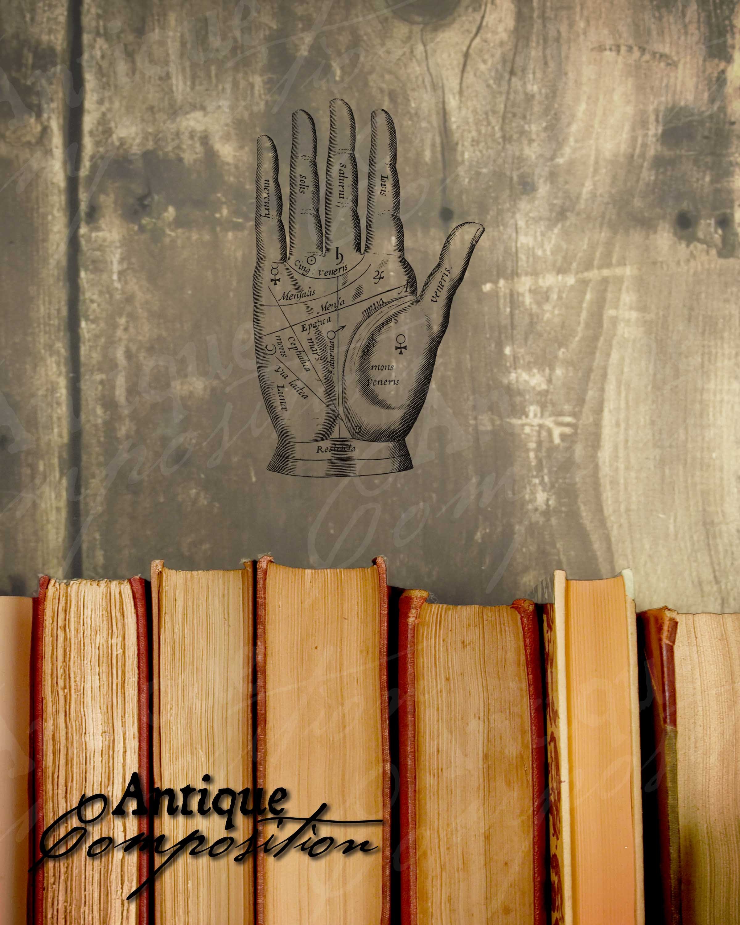 Palm Reading Clip Art - Vintage Palmistry Printable - Spiritual ...
