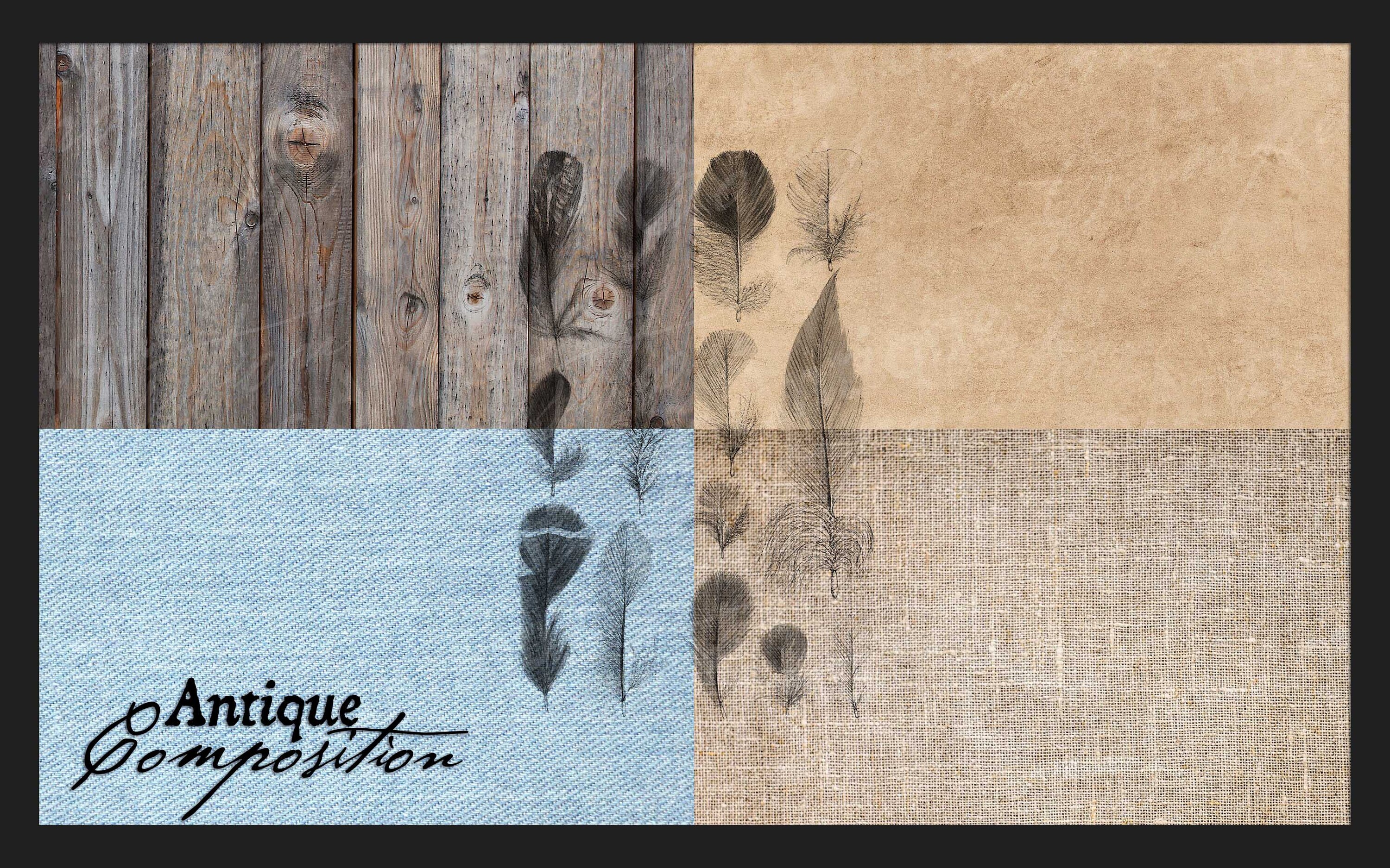 Federn Clip Art Vintage Feder Printable Federn Sublimation | Etsy