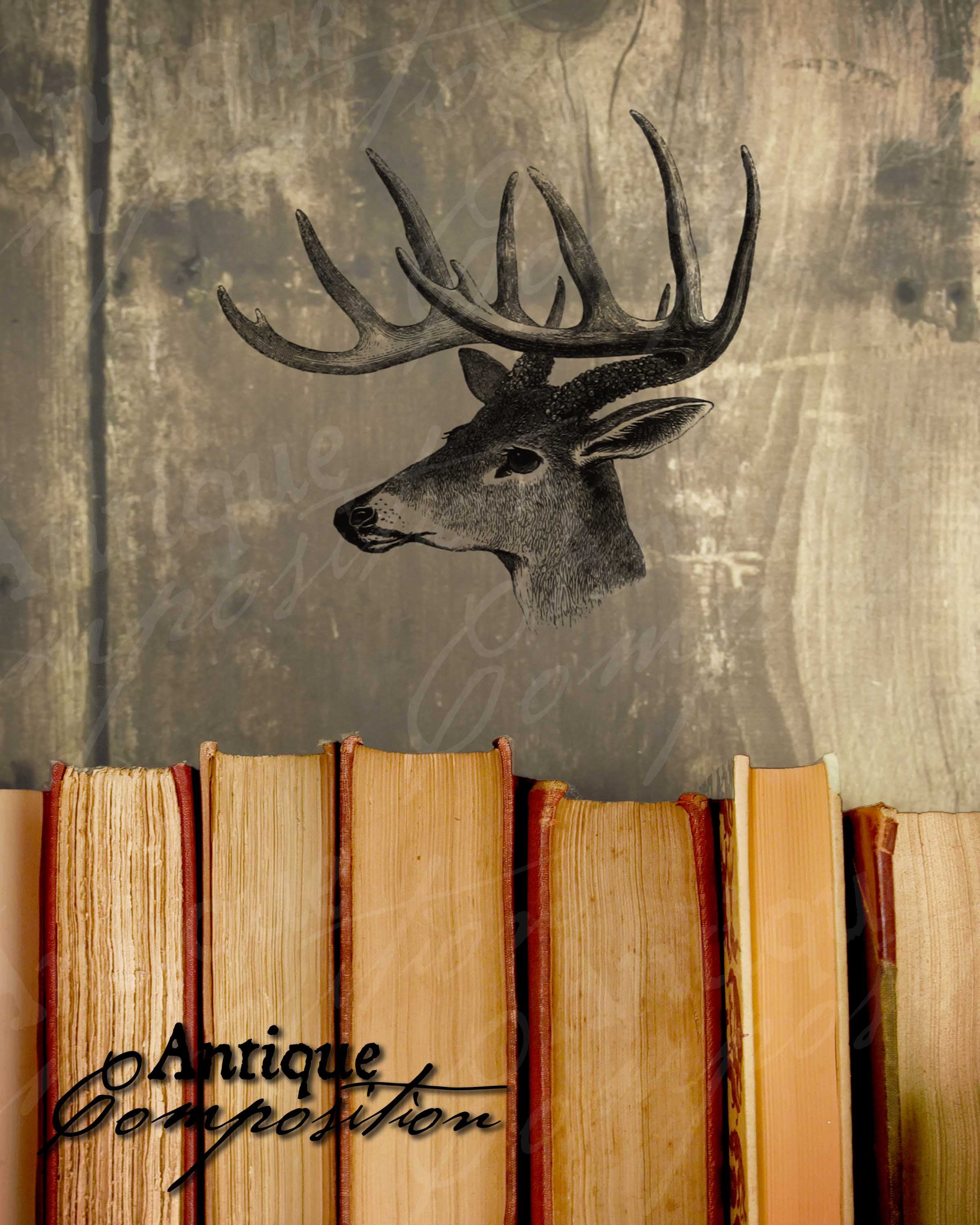 Deer Clip Art - Vintage Animal Printable - Deer Head Sublimation ...