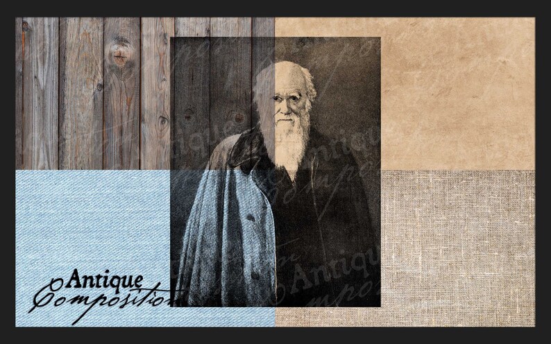 Charles Darwin Clip Art Vintage Evolution Printable - Etsy