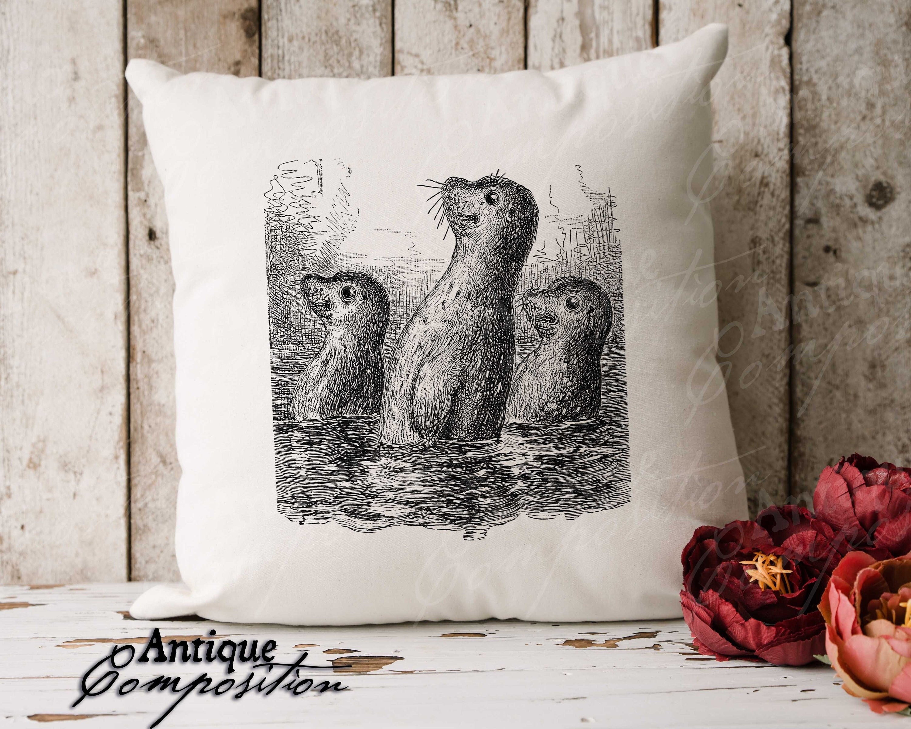 Seals Clip Art - Vintage Ocean Printable - Three Seals Sublimation ...