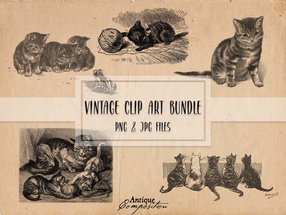 Kitten Clip Art Bundle Vintage Cat Printable Kittens | Etsy