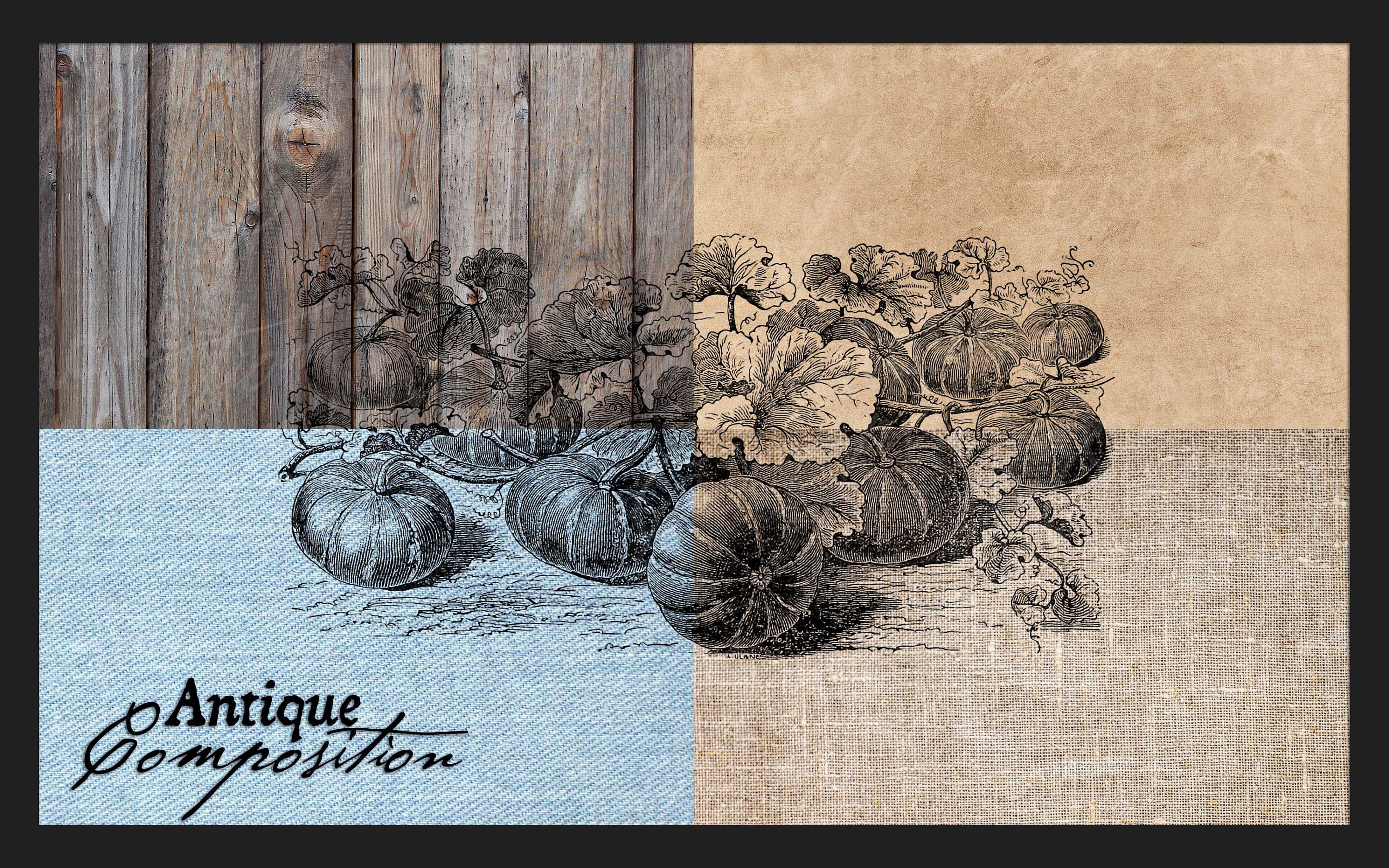 Squash Clip Art Vintage Squash Printable Squash Patch Sublimation ...