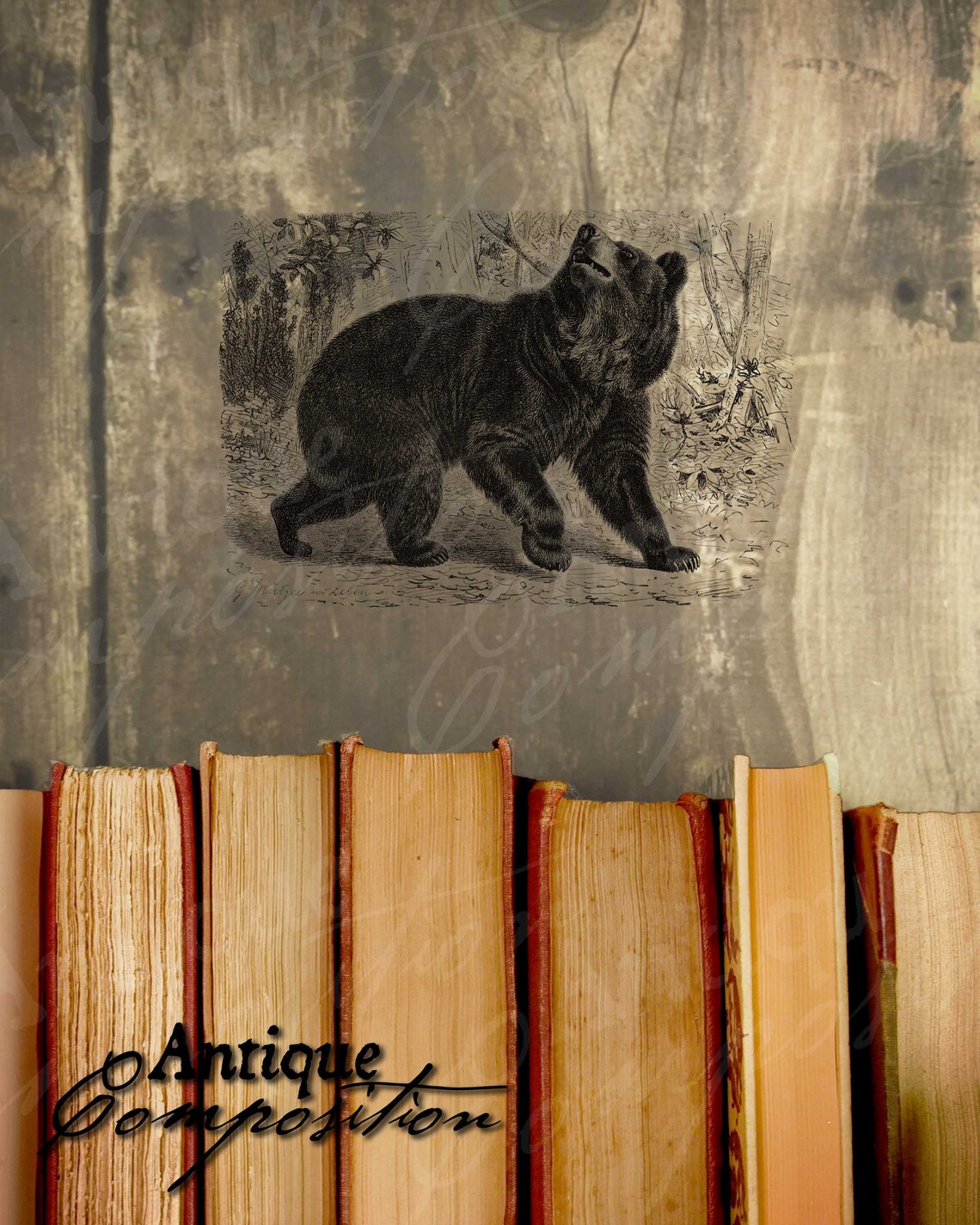 Bear Clip Art Vintage Grizzly Bear Printable Grizzly Bear - Etsy