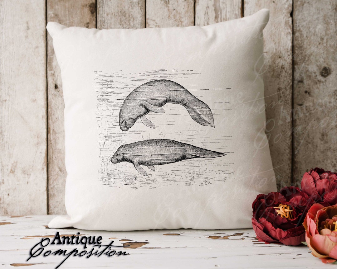 Manatee Clip Art Vintage Manatee Printable Two Manatee Swimming ...