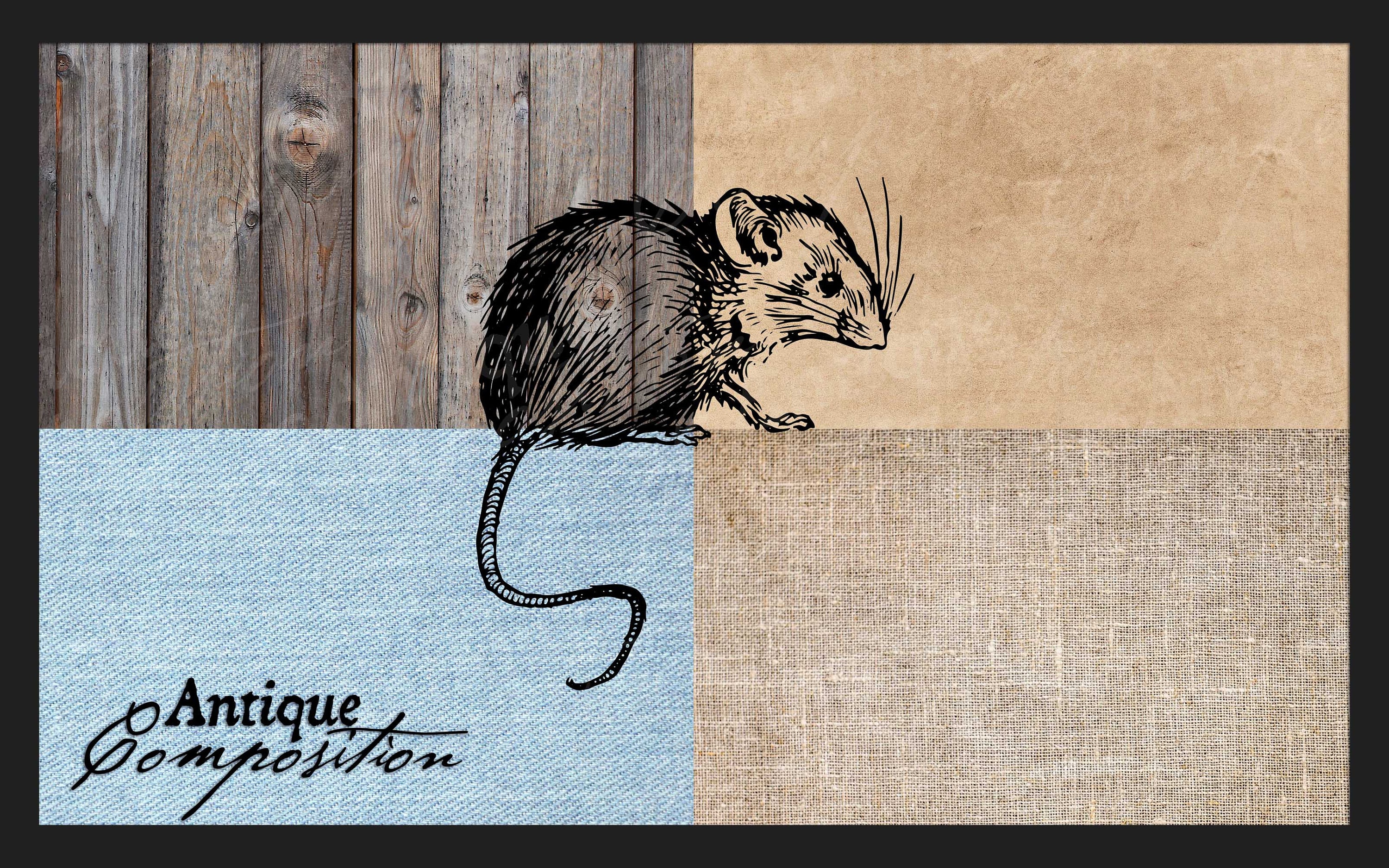 Mouse Clip Art - Vintage House Mouse Printable - Rodent Sublimation ...
