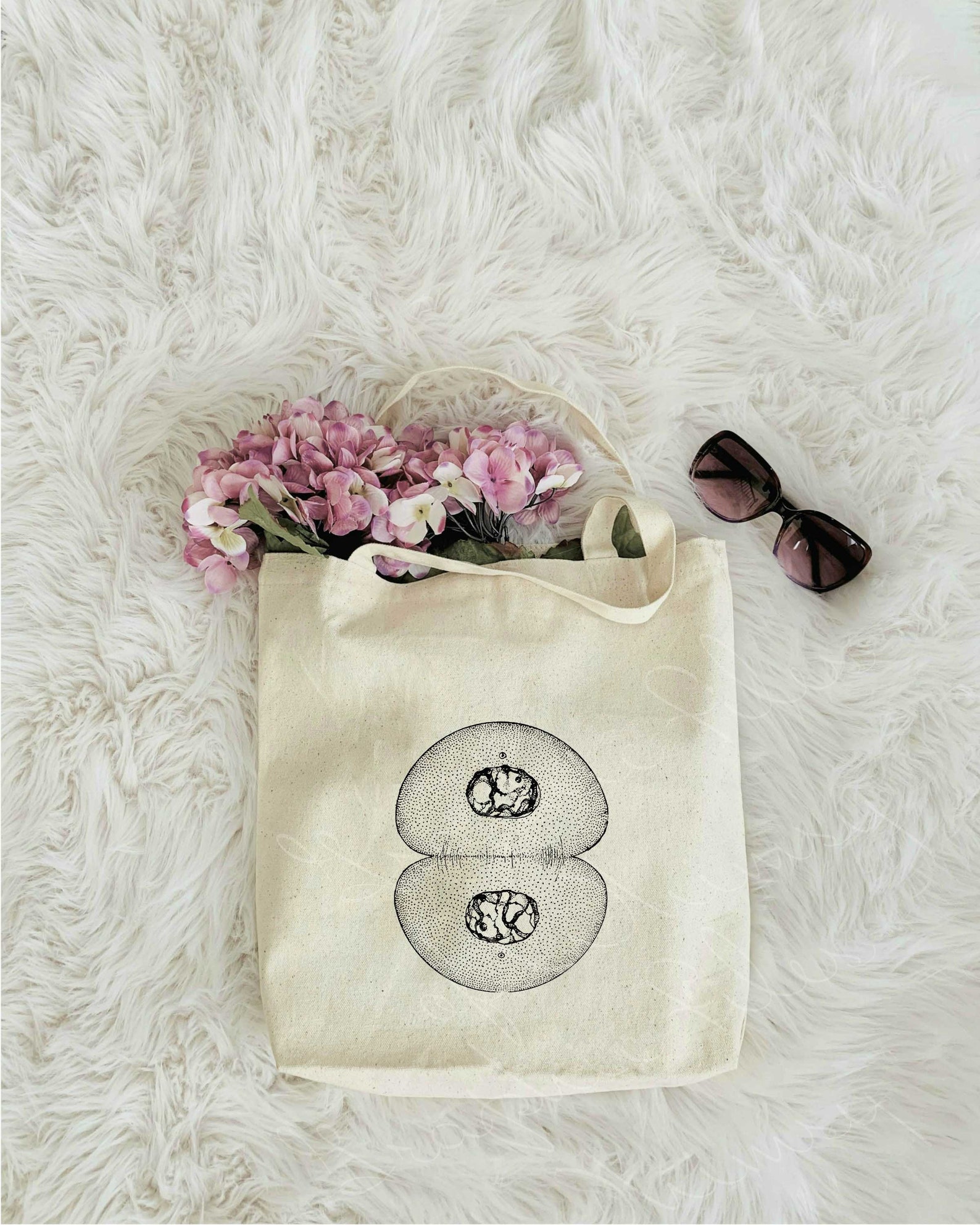 Mitosis Clip Art Vintage Science Printable Cell Mitosis Sublimation ...