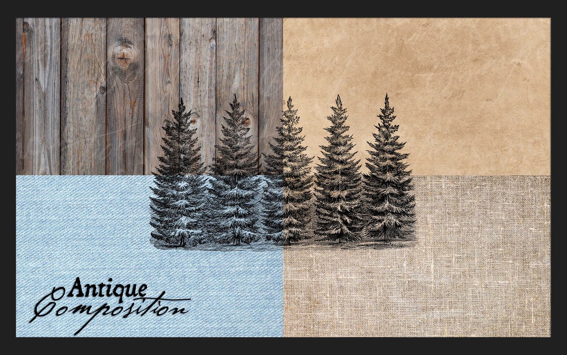 Tree Clip Art Vintage Trees Printable Norway Spruce - Etsy