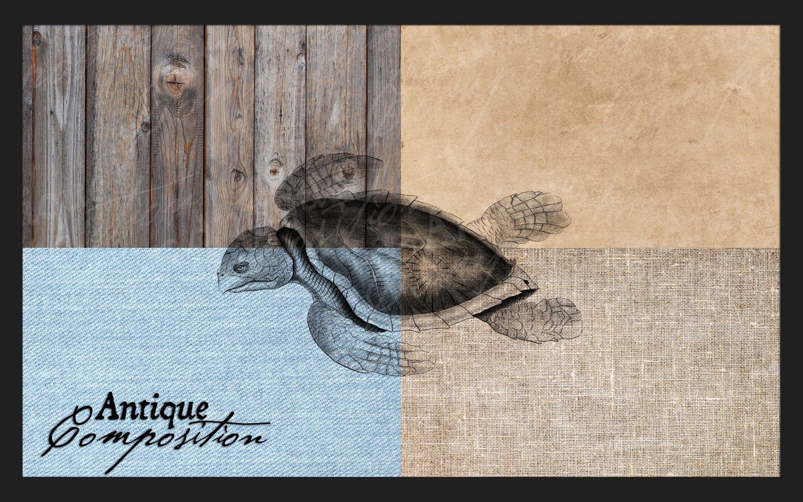 Sea Turtle Clip Art Vintage Sea Turtle Printable Sea - Etsy