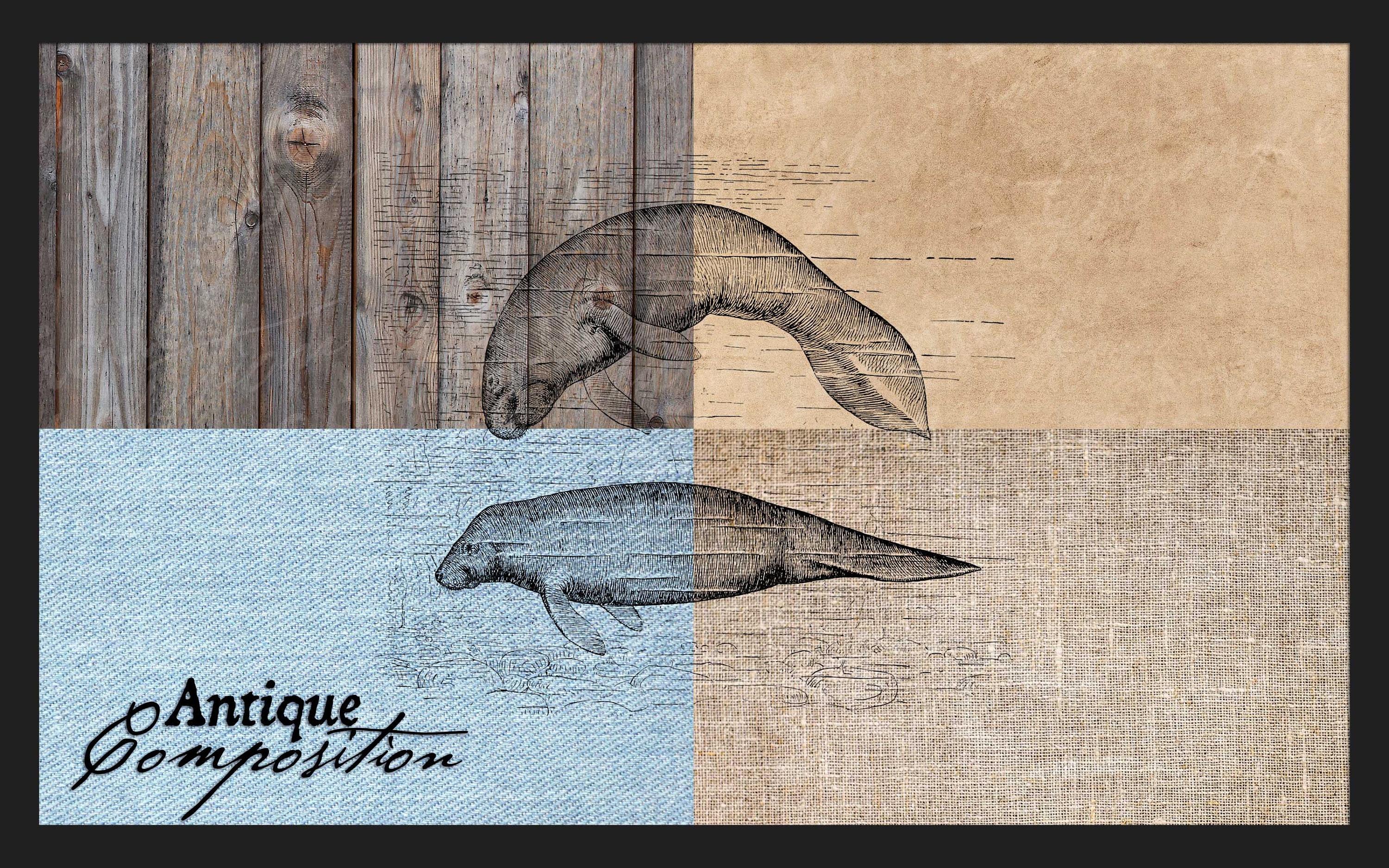 Manatee Clip Art Vintage Manatee Printable Two Manatee Swimming ...