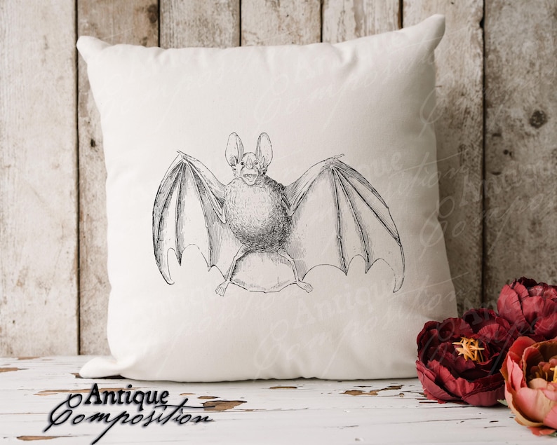 Bat Clip Art Vintage Bat Printable Vampire Bat Sublimation - Etsy Canada