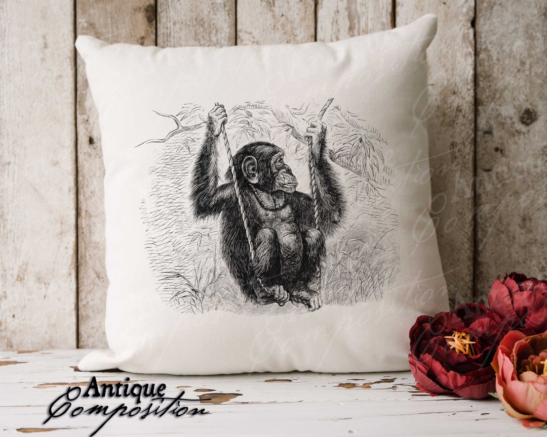 Chimpanzee Clip Art - Vintage Chimp Printable - Chimpanzee on Swing ...