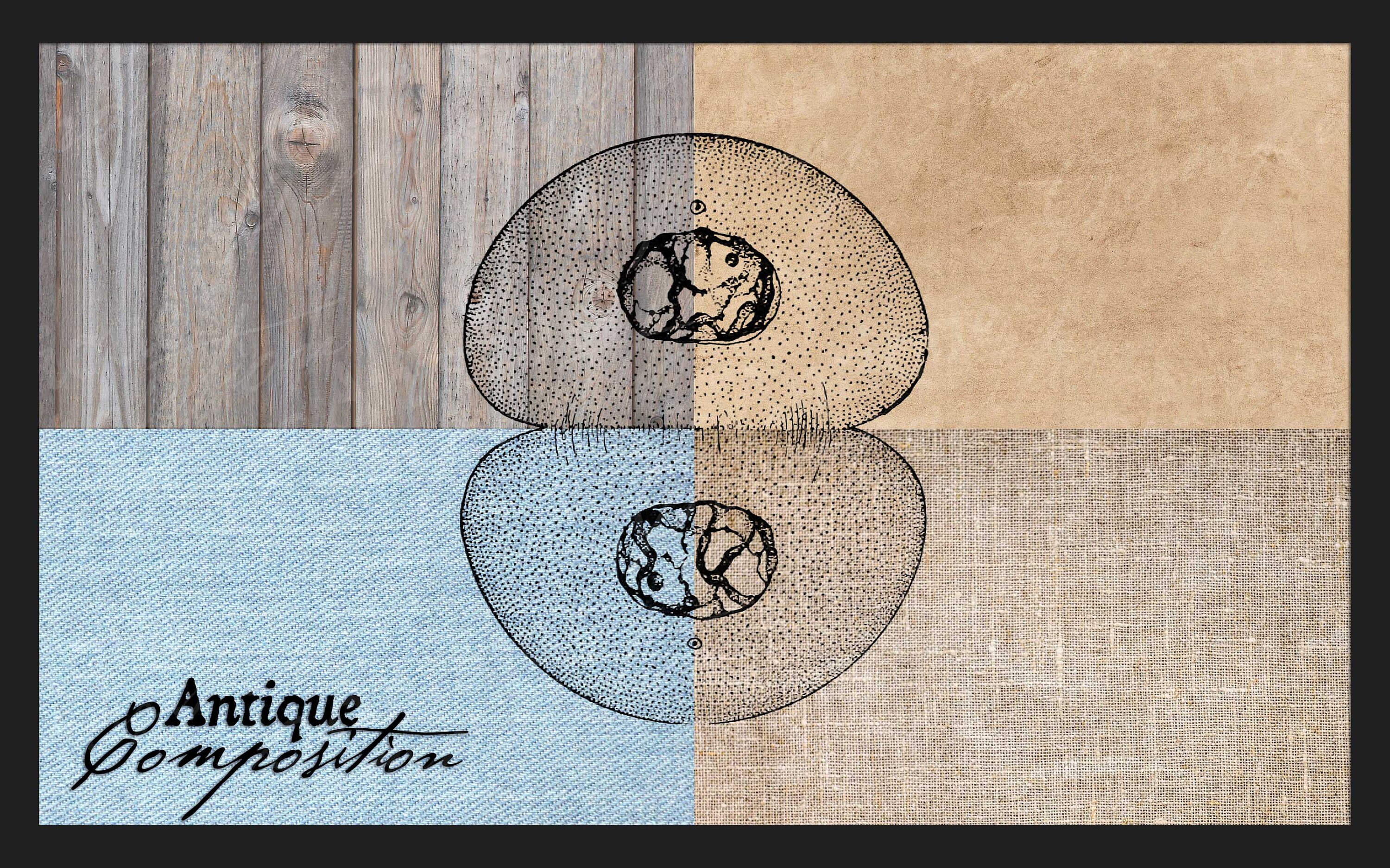 Mitosis Clip Art Vintage Science Printable Cell Mitosis Sublimation ...