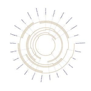 Redesigned London Underground Tube Map Single Line - Etsy Canada