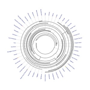 Redesigned London Underground Tube Map Single Line - Etsy Canada