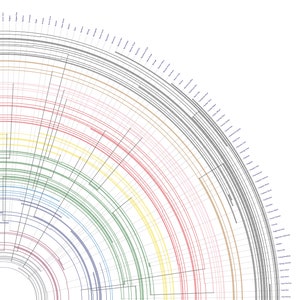 Redesigned London Underground Tube Map - All Lines - Etsy