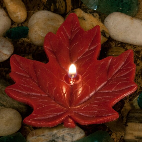 32 Pieces 4 Floating Maple Leaf Candles for Autumn | Etsy