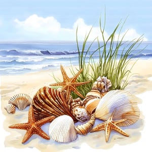 20 Tropical Beach Shells Clipart, Summer Clipart, High Quality JPG ...