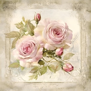 Shabby Chic Baroque Floral Page Clipart, 20 High Quality Watercolor ...