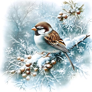 Winter Sparrow Clipart, Bird Clipart, Winter Clipart, Nature Clipart ...