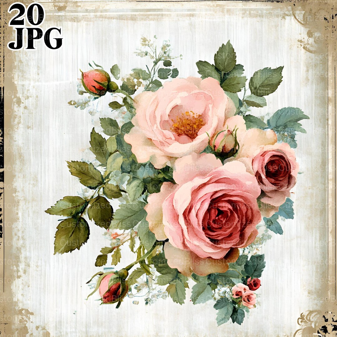 Shabby Chic Baroque Floral Page Clipart, 20 High Quality Watercolor ...
