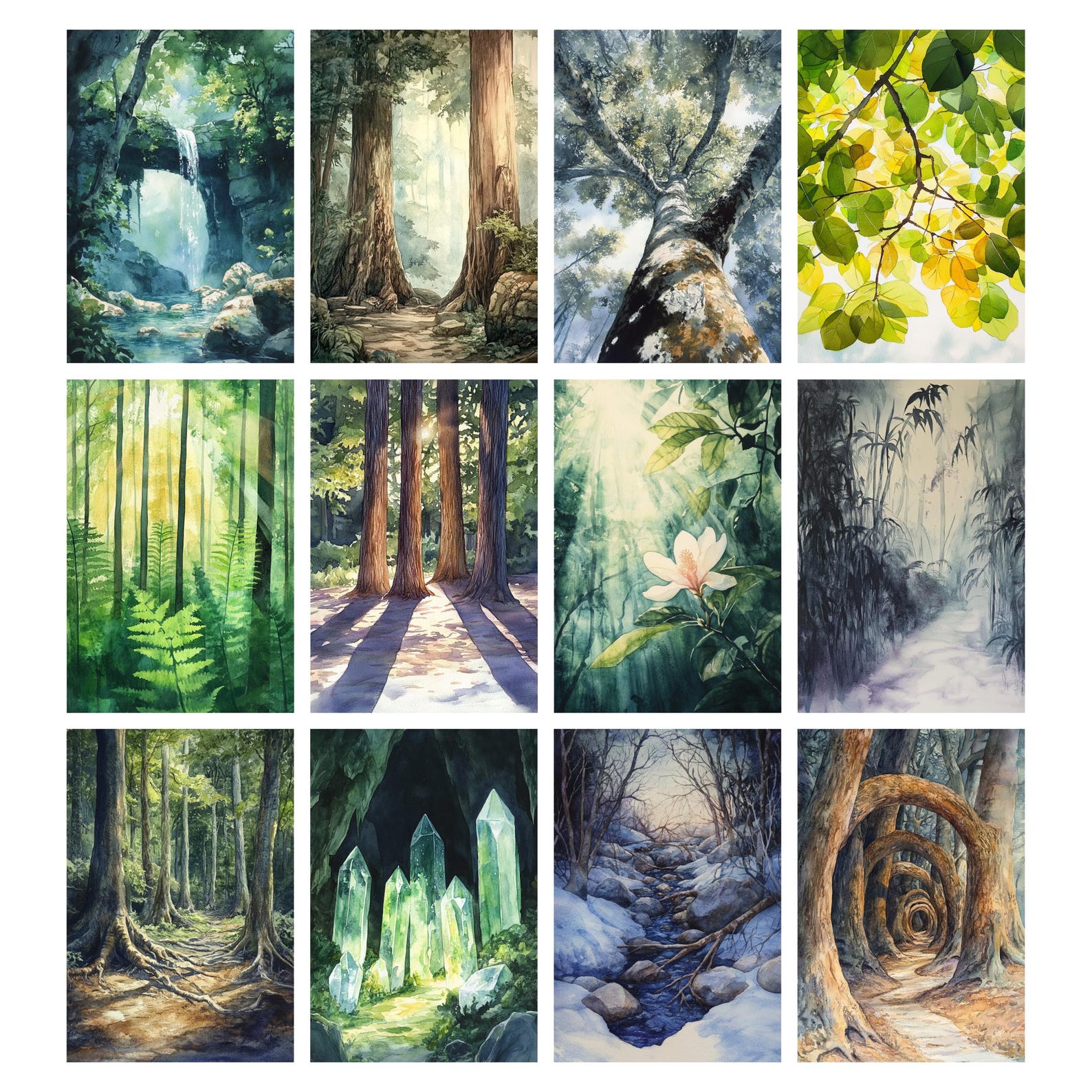 Deep Forest Pages, Forest Images, Watercolor, Nature Scenery ...