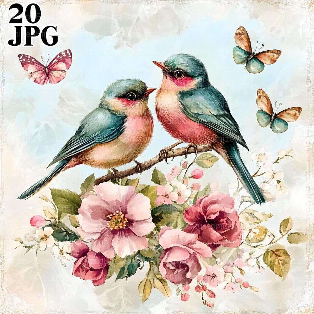 Shabby Chic Valentine Love Birds With Flowers Clipart Bundle, 20 High ...