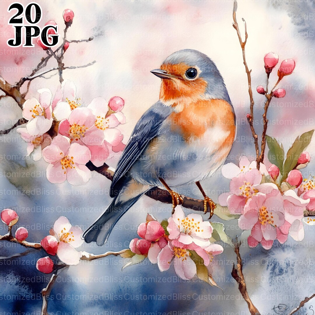20 Spring Robin Clipart, Robin Bird Images, Cute Bird Nursery, Bird ...