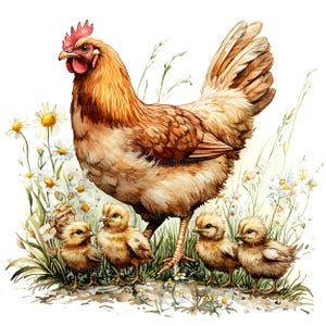Chicken Family Rooster Chick Clipart Bundle, 16 High Quality Jpgs ...